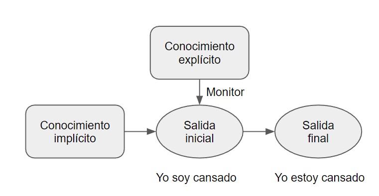 Niels | Conocimiento explícito e implícito en el aprendizaje de lenguajes